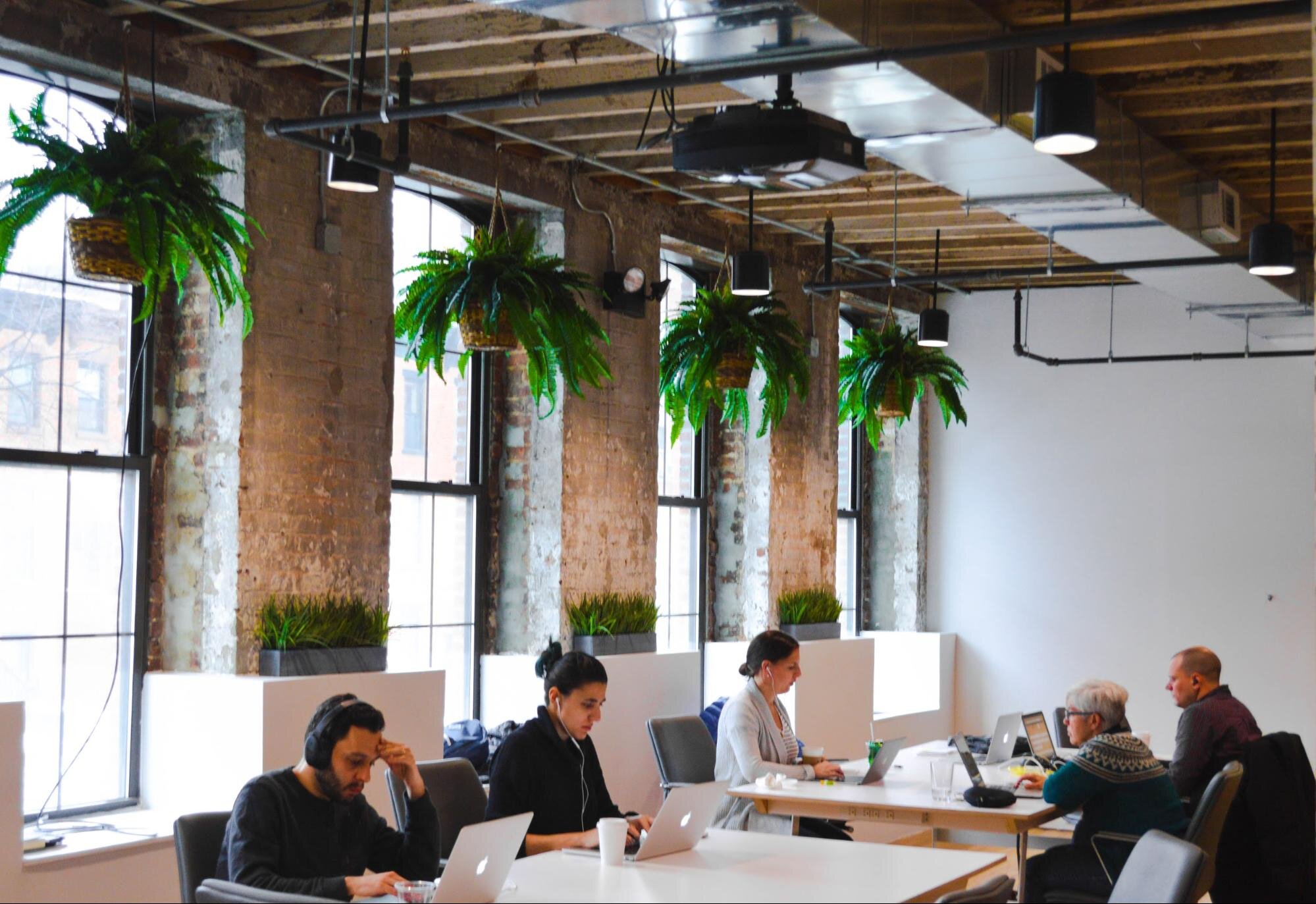 The 7 Best Office Plants To Enhance Any Workspace - Bond Collective