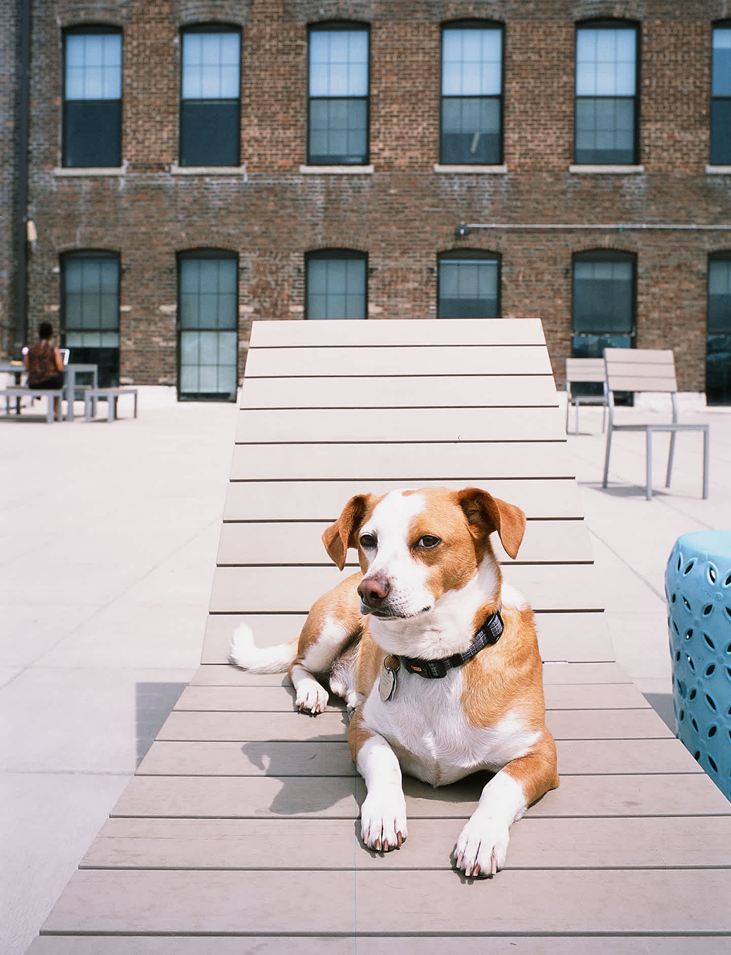 Bond Collective | Amenities