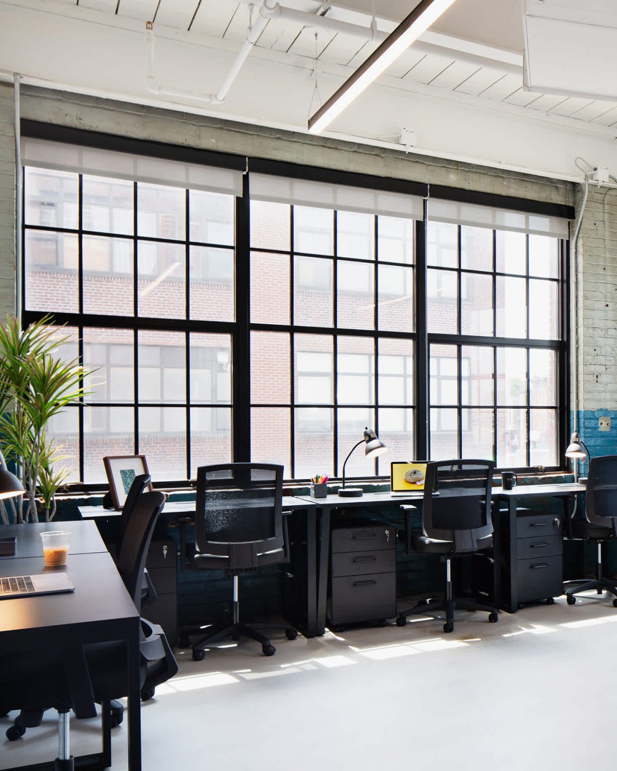 Bond Collective - Enterprise Office Space